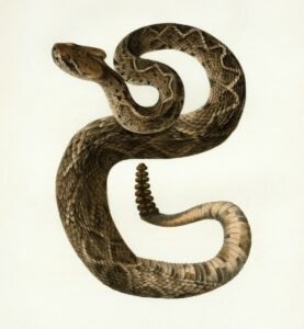 The Most Terrifying Snake Monsters in Mythology